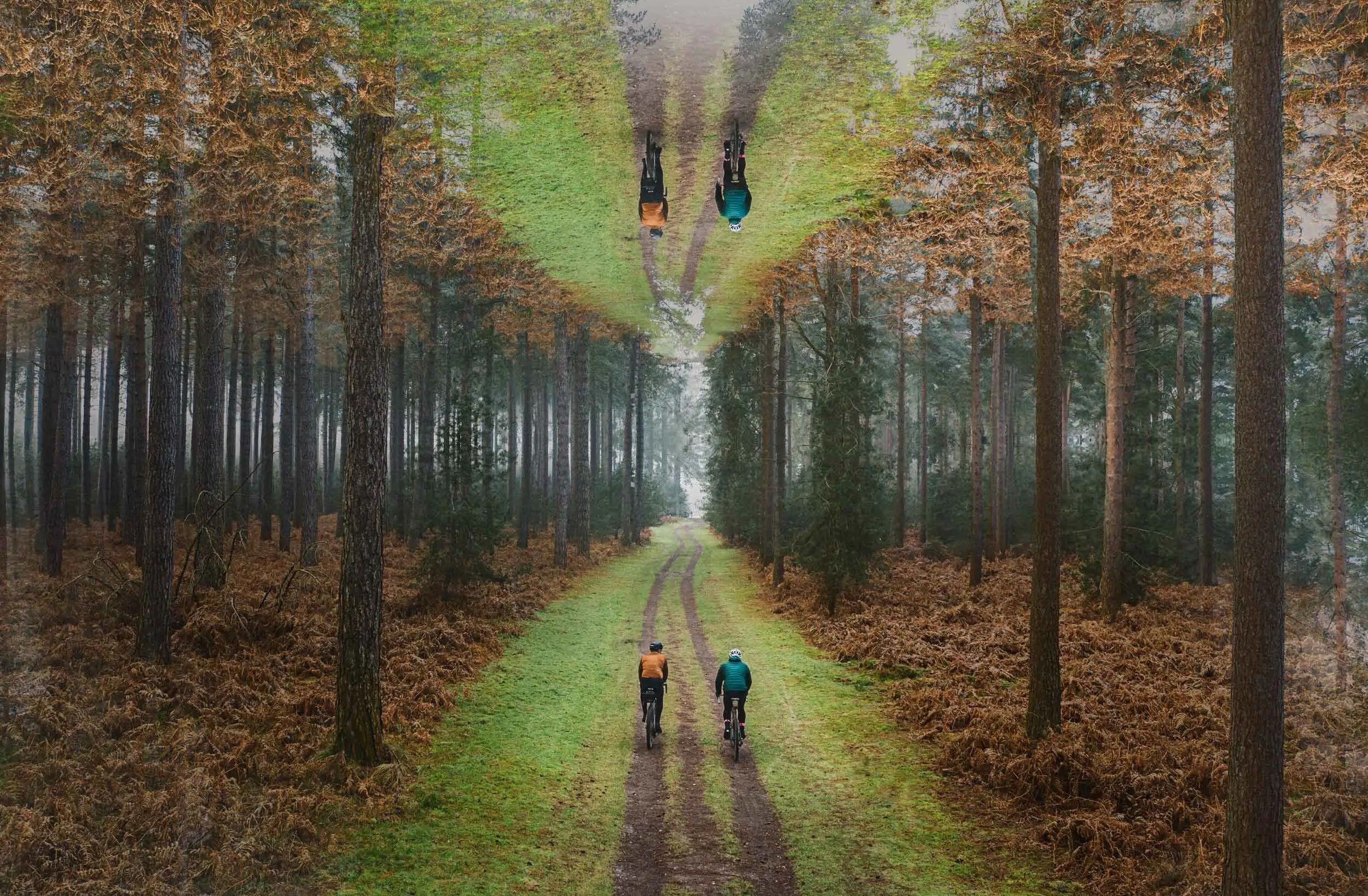 EBA - One-off Fit-for-55 Climate Risk Scenario Analysis | Iason ltd