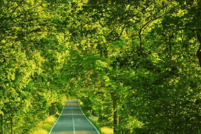 2022 SSM Climate Risk Stress Test: Scope, Scenarios and Methodology ...